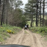Bessey OHV Loop, Nebraska - 8 Reviews, Map | AllTrails