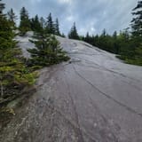 Wheeler Mountain Trail, Vermont - 332 Reviews, Map | AllTrails