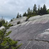 Wheeler Mountain Trail, Vermont - 332 Reviews, Map | AllTrails