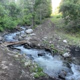 Red Lake Trail, Utah - 259 Reviews, Map | AllTrails