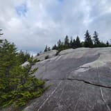 Wheeler Mountain Trail, Vermont - 332 Reviews, Map | AllTrails