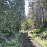 Red Lake Trail, Utah - 259 Reviews, Map | AllTrails