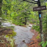 Wheeler Mountain Trail, Vermont - 332 Reviews, Map | AllTrails