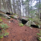 Wheeler Mountain Trail, Vermont - 332 Reviews, Map | AllTrails