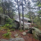 Wheeler Mountain Trail, Vermont - 332 Reviews, Map | AllTrails