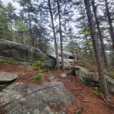 Wheeler Mountain Trail, Vermont - 332 Reviews, Map | AllTrails