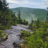 Wheeler Mountain Trail, Vermont - 332 Reviews, Map | AllTrails