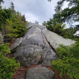 Wheeler Mountain Trail, Vermont - 332 Reviews, Map | AllTrails