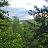 Wheeler Mountain Trail, Vermont - 332 Reviews, Map | AllTrails