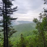 Wheeler Mountain Trail, Vermont - 332 Reviews, Map | AllTrails