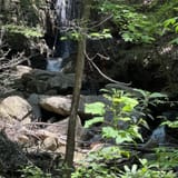 Devil's Racetrack Trail, Tennessee - 566 Reviews, Map | AllTrails