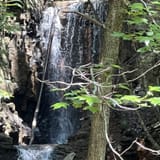 Devil's Racetrack Trail, Tennessee - 566 Reviews, Map | AllTrails