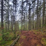 Wheeler Mountain Trail, Vermont - 332 Reviews, Map | AllTrails
