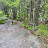 Wheeler Mountain Trail, Vermont - 382 Reviews, Map | AllTrails