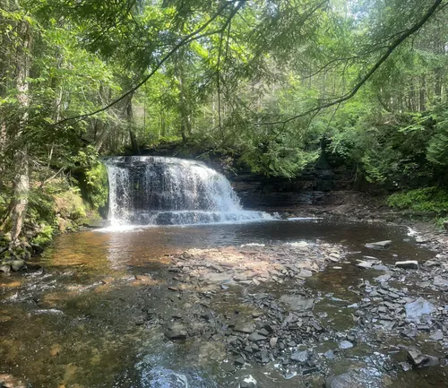 Best Hikes and Trails in Rock River Canyon Wilderness | AllTrails
