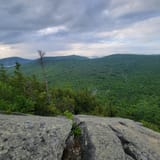 Wheeler Mountain Trail, Vermont - 332 Reviews, Map | AllTrails