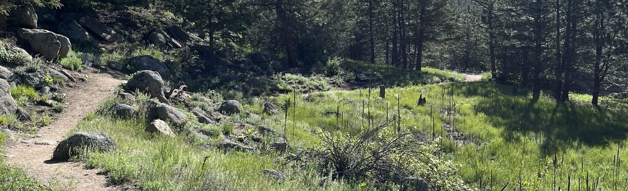 AllTrails | Coal Seam Trail to Walker Ranch: 15 Reviews, Map - Colorado