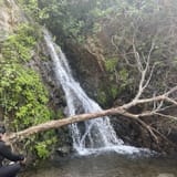 Holy Jim Canyon Trail, California - 411 Reviews, Map | AllTrails