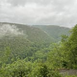 Tioga West Rim Trail, Pennsylvania - 482 Reviews, Map | AllTrails