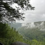 Tioga West Rim Trail, Pennsylvania - 482 Reviews, Map | AllTrails