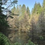 Tioga West Rim Trail, Pennsylvania - 482 Reviews, Map | AllTrails