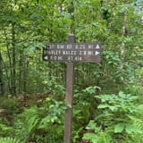 Tioga West Rim Trail, Pennsylvania - 482 Reviews, Map | AllTrails