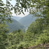 Tioga West Rim Trail, Pennsylvania - 482 Reviews, Map | AllTrails