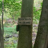 Slickrock Creek Trail, North Carolina - 40 Reviews, Map | AllTrails