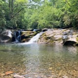 Slickrock Creek Trail, North Carolina - 40 Reviews, Map | AllTrails