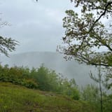 Tioga West Rim Trail, Pennsylvania - 482 Reviews, Map | AllTrails