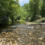 Cat Gap Loop Trail, North Carolina - 657 Reviews, Map | AllTrails