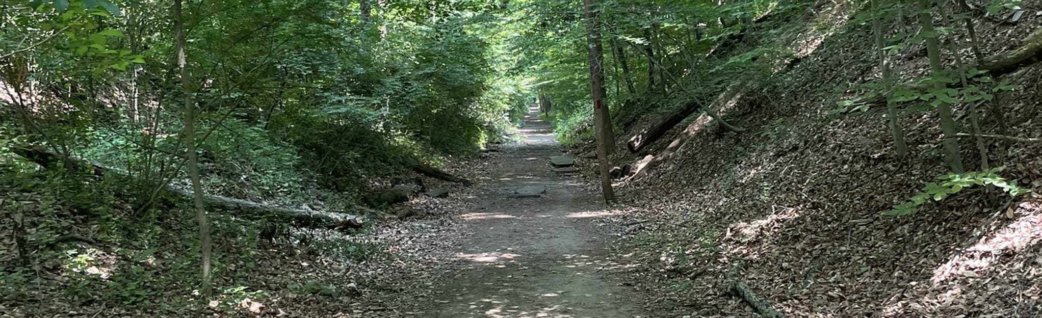 Lake Roland White Trail: 13 Reviews, Map - Maryland | AllTrails