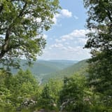 Tioga West Rim Trail, Pennsylvania - 531 Reviews, Map | AllTrails