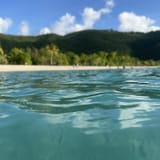 Magens Bay Beach Trail, Saint Thomas, US Virgin Islands - 349 Reviews ...