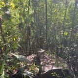 Magens Bay Beach Trail, Saint Thomas, US Virgin Islands - 349 Reviews ...