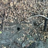 Magens Bay Beach Trail, Saint Thomas, US Virgin Islands - 349 Reviews ...