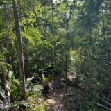 Magens Bay Beach Trail, Saint Thomas, US Virgin Islands - 349 Reviews ...