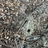 Magens Bay Beach Trail, Saint Thomas, US Virgin Islands - 349 Reviews ...