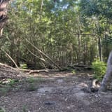 Magens Bay Beach Trail, Saint Thomas, US Virgin Islands - 349 Reviews ...