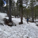 Round Valley Trail to Wellman Divide, California - 449 Reviews, Map ...
