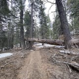 Round Valley Trail to Wellman Divide, California - 449 Reviews, Map ...