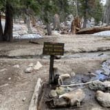 Round Valley Trail to Wellman Divide, California - 449 Reviews, Map ...
