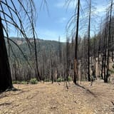 Fleming Meadow Trail 8, California - 237 Reviews, Map | AllTrails