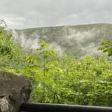 Tioga West Rim Trail, Pennsylvania - 502 Reviews, Map | AllTrails
