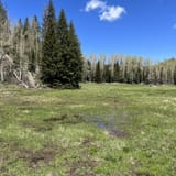 Whipple Trail, Utah - 297 Reviews, Map | AllTrails