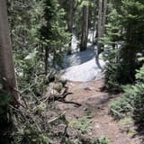 Whipple Trail, Utah - 297 Reviews, Map | AllTrails