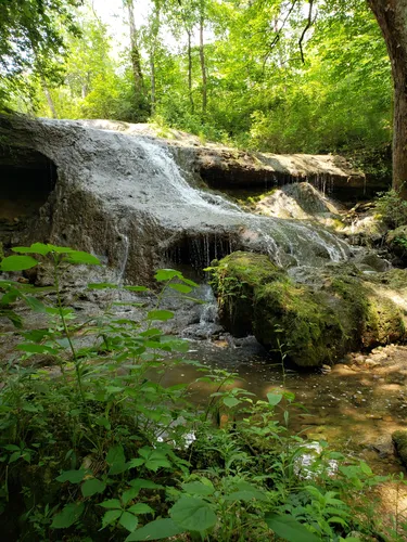 10 Best Trails and Hikes in Springfield | AllTrails