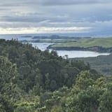 Rangitoto Island Summit Track, Auckland, New Zealand - 255 Reviews, Map ...