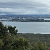Rangitoto Island Summit Track, Auckland, New Zealand - 255 Reviews, Map ...