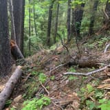 Middle Fork Applegate River Trail, California - 19 Reviews, Map | AllTrails